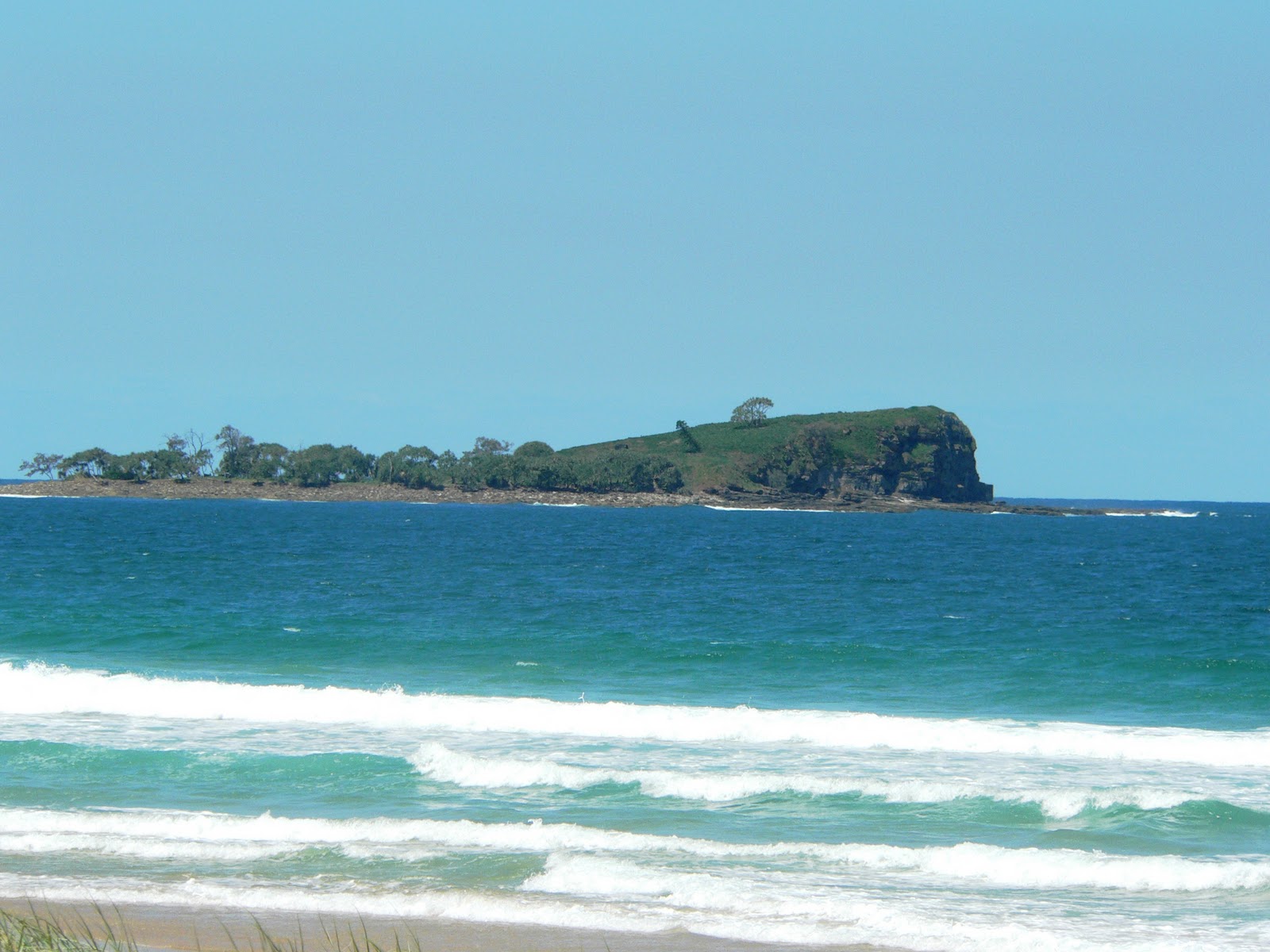 sunshinecoastbirds: A Paddle to Mudjimba Island