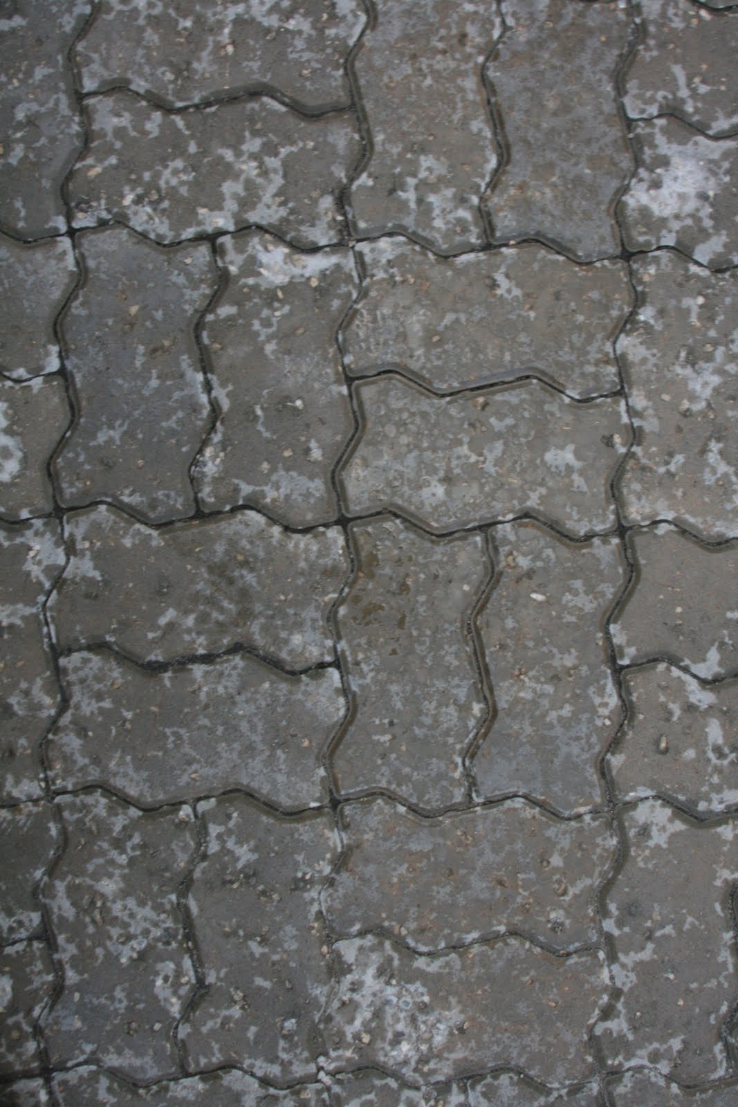 Photography and beyond: Photoshop Textures Photography