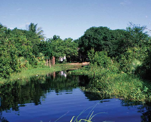 Turismo y Viajes Divertidos: Biósfera del Río Plátano