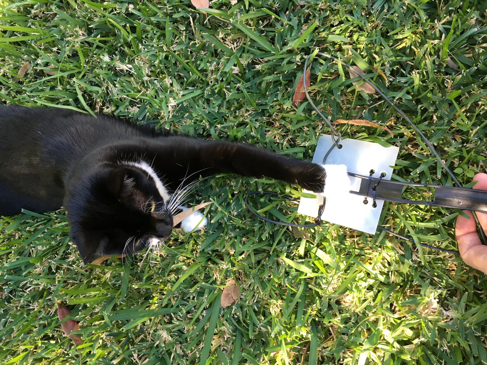 marxy's musing on technology: 40m doublet antenna - excellent