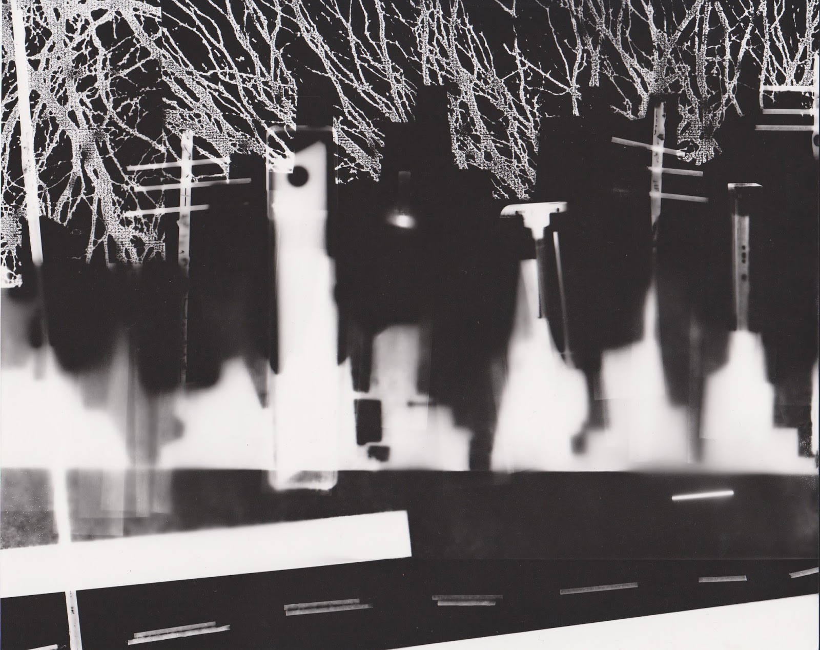 FOTOGRAFÍA: FOTOGRAMA, AMPLIADORA