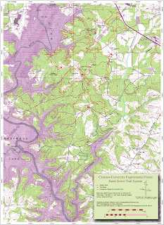 CLEMSON ADVENTURES: Fant's Grove