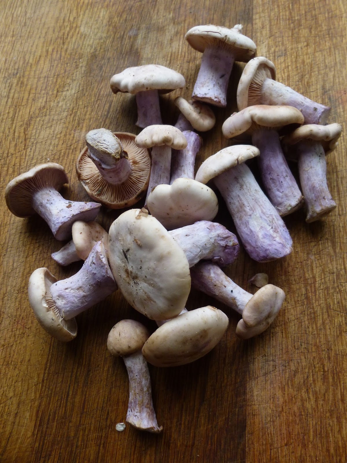 Sam Cooks Food: Beef wellington with braised shin fondant potato, bone ...