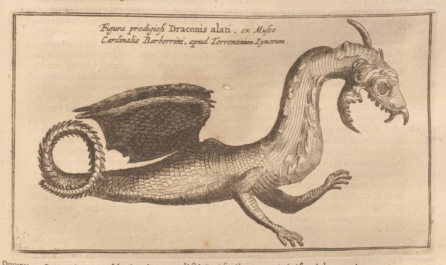 A New Chronology: Roman depictions of dragons (in chronological order)