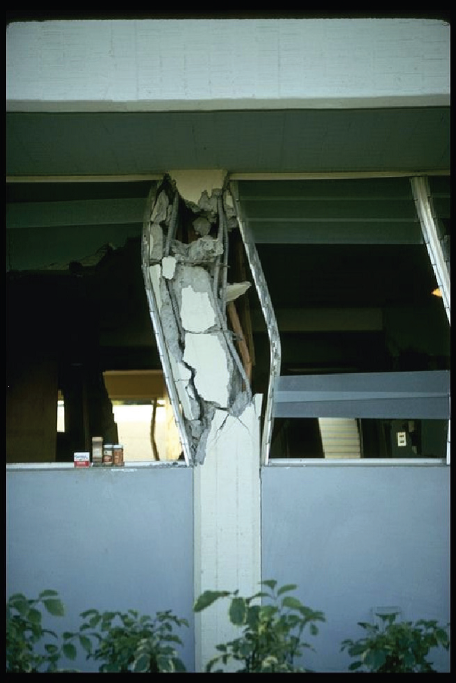 EDUARTD MORALES ANDRADE: FALLA ESTRUCTURAL : COLUMNA CORTA