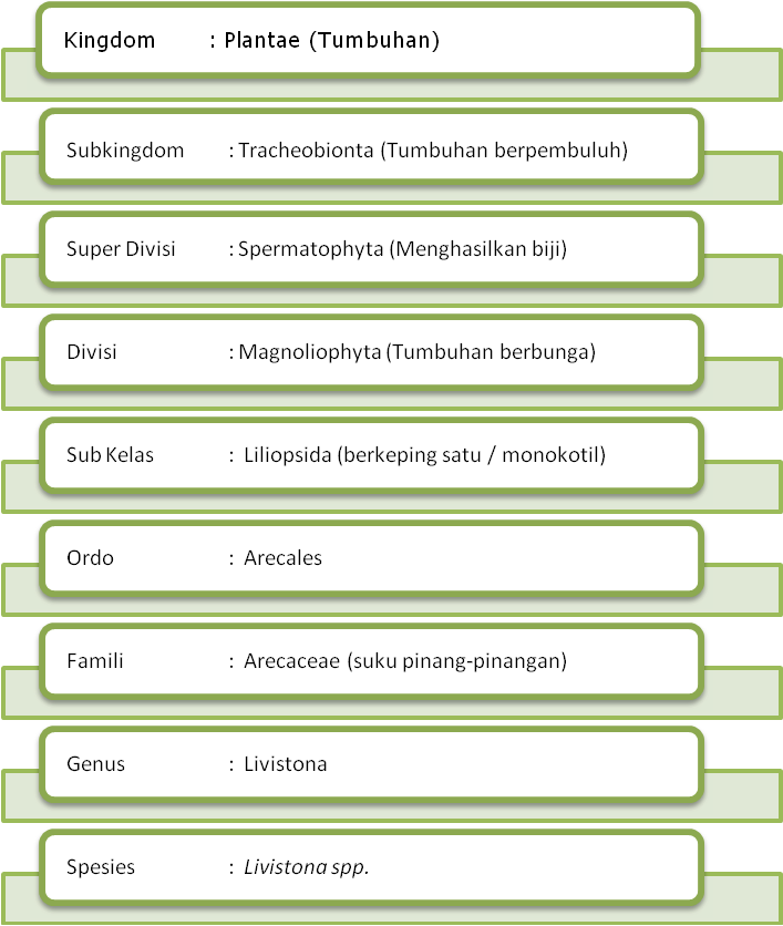 Palem kipas (Livistona sp.) - Biologi sel dan Molekuler