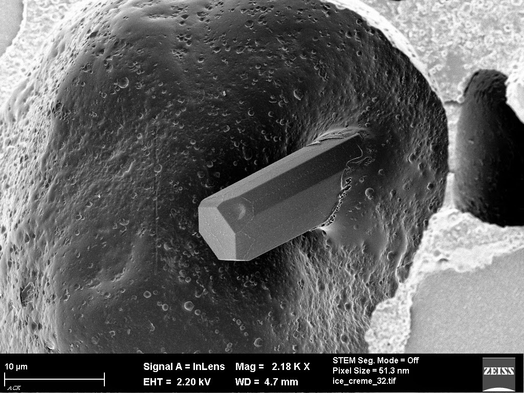 Electron Microscope Ice