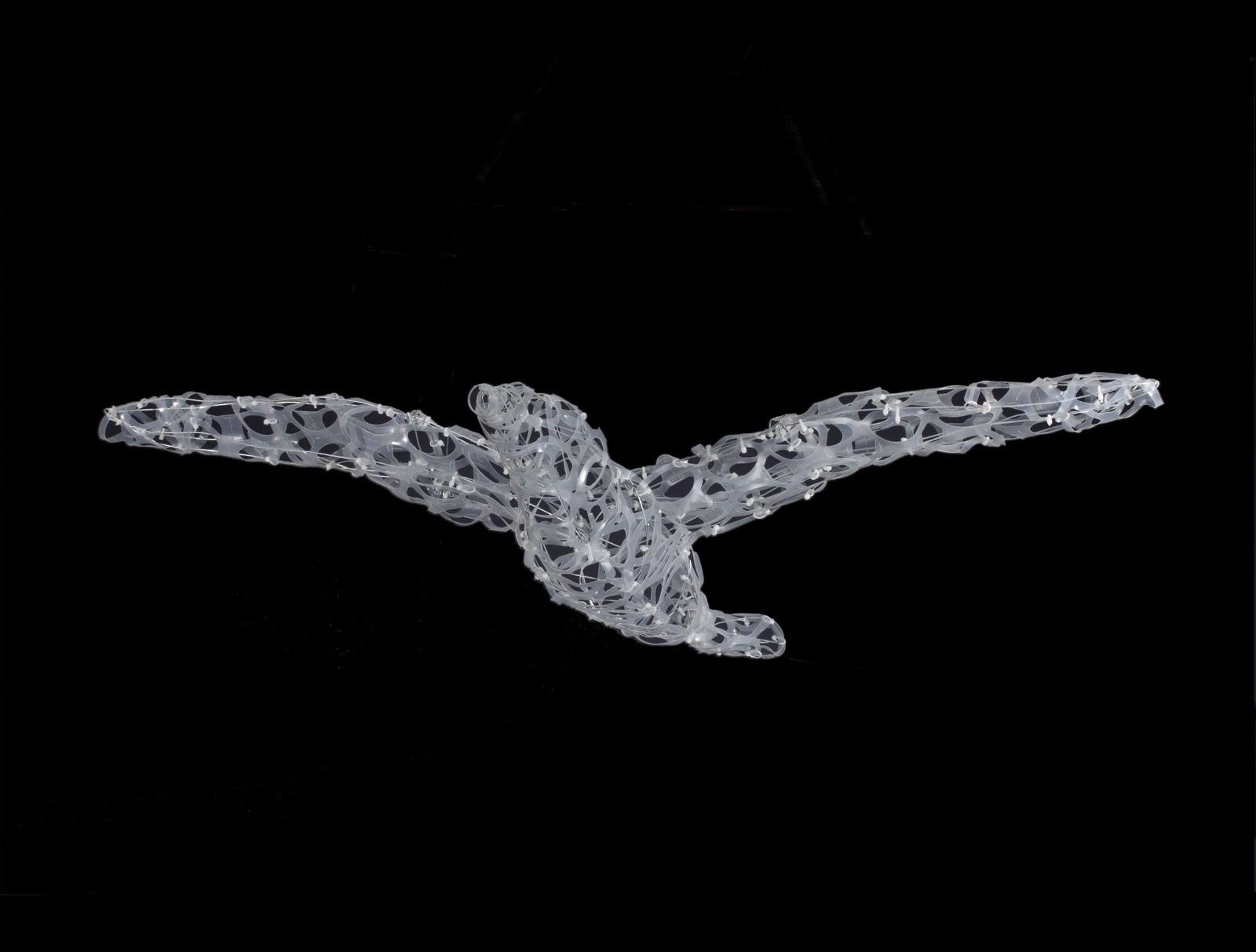 pointgreen BLOG Rossa Cole: Seagull made from six pack rings.