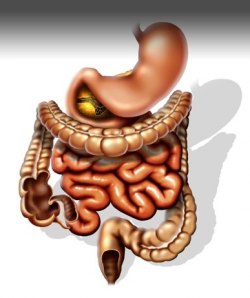 Centro Nutrición Vital: LIMPIEZA DE COLON