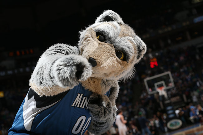 Bobo Catches The Attention Of His Favorite Nba Team