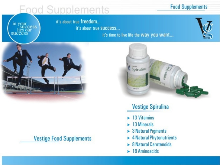 Myvestige: VESTIGE SUCCESS PLAN