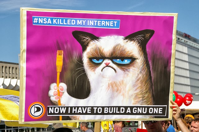 At A Steady Trot Grumpy Cat Gets Political