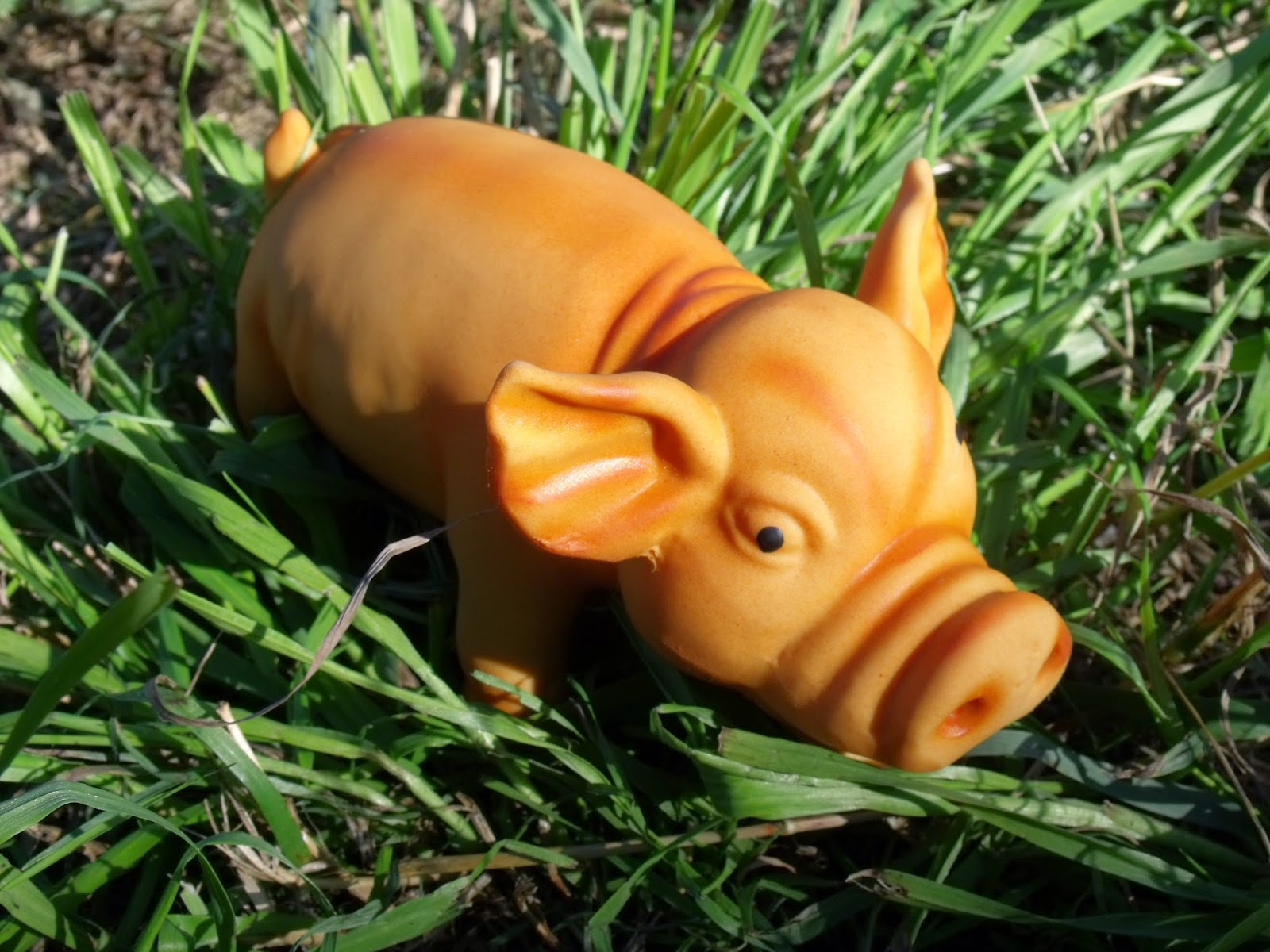 Les divagations de Véro