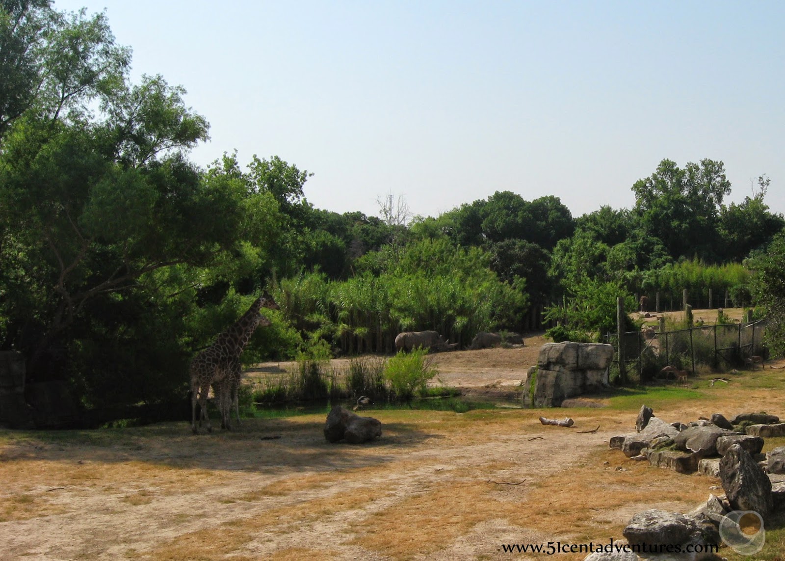 51 Cent Adventures: Cameron Park Zoo - Waco, Texas
