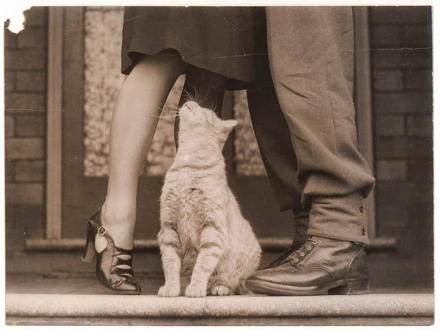 36 Funny Vintage Photos That Capture at Just the Right Time and the ...
