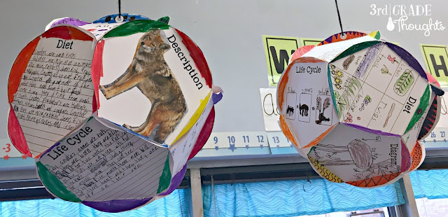 Dodecahedron Research Projects | 3rd Grade Thoughts