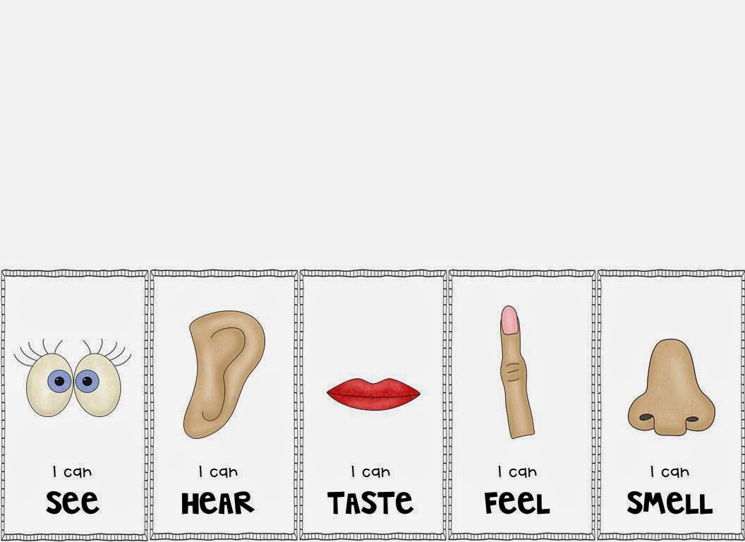 Materials To Learn English 5 Senses Vocabulary materials-to-learn-english-5-senses-vocabulary
