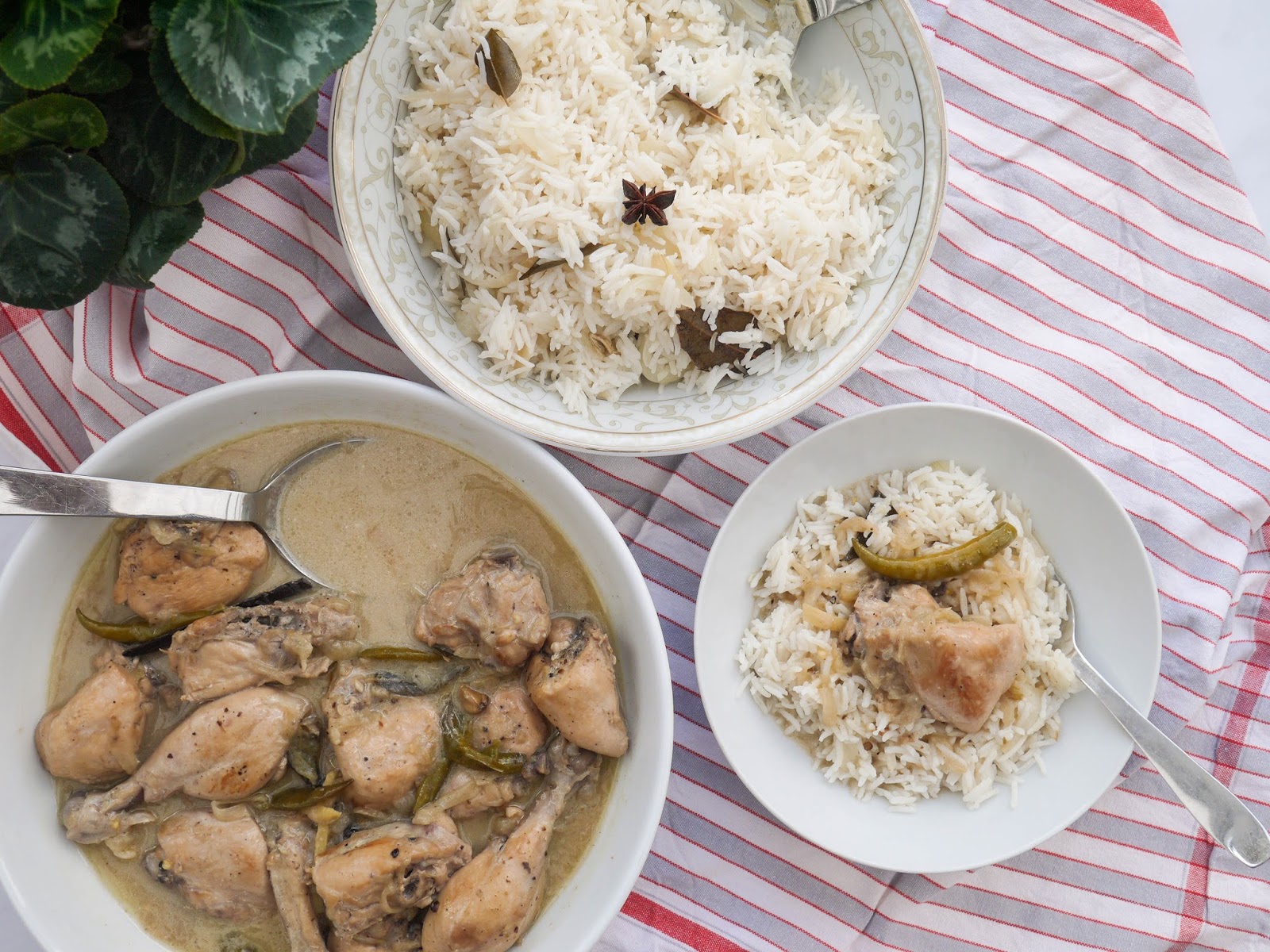 This Muslim Girl Bakes: South Indian Chicken Stew with Sweet and Sour Rice.