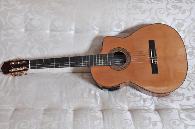 arpas&guitarras del paraguay