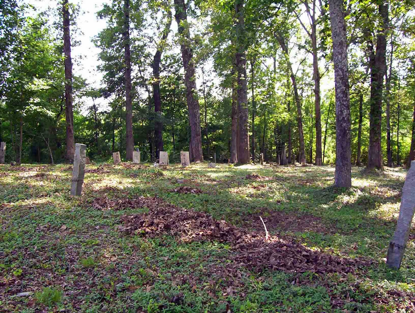 Bush River Quaker Families, Newberry County, SC: 2014
