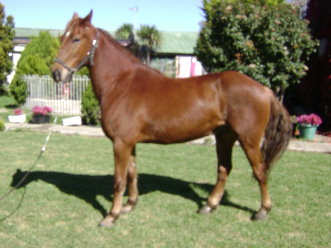 Betwixtjudy: FAIRY TALES