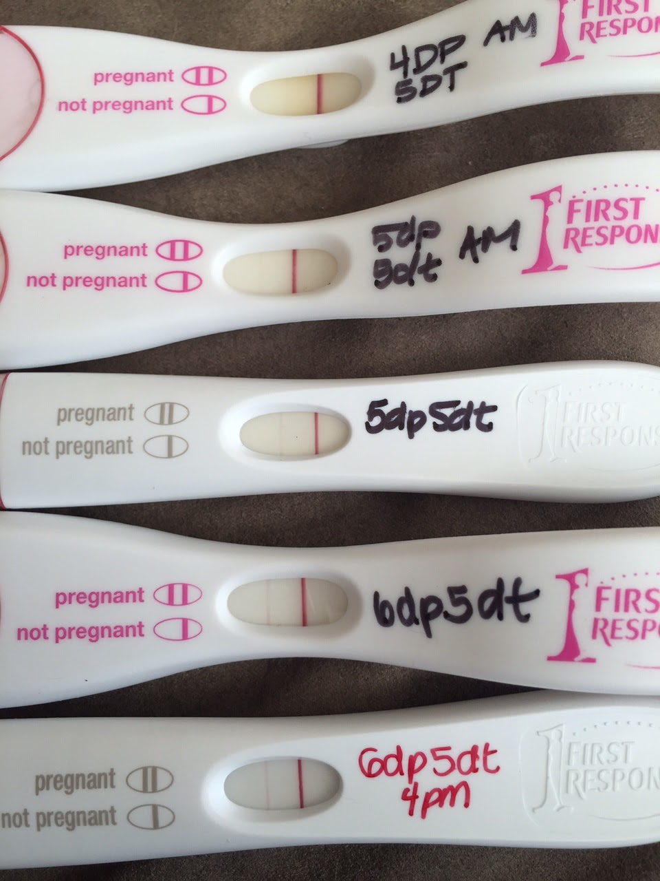 Love, Infertility and Coconuts: 6DP5DT
