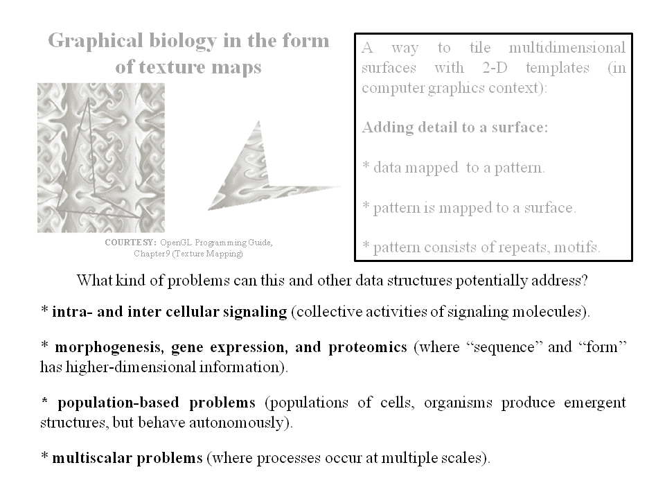 Synthetic Daisies: Scenes from a graphical, parallel biology (Presentation)