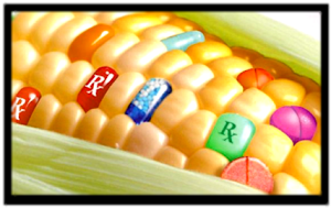 PRO OGM : Les différents types d' OGM