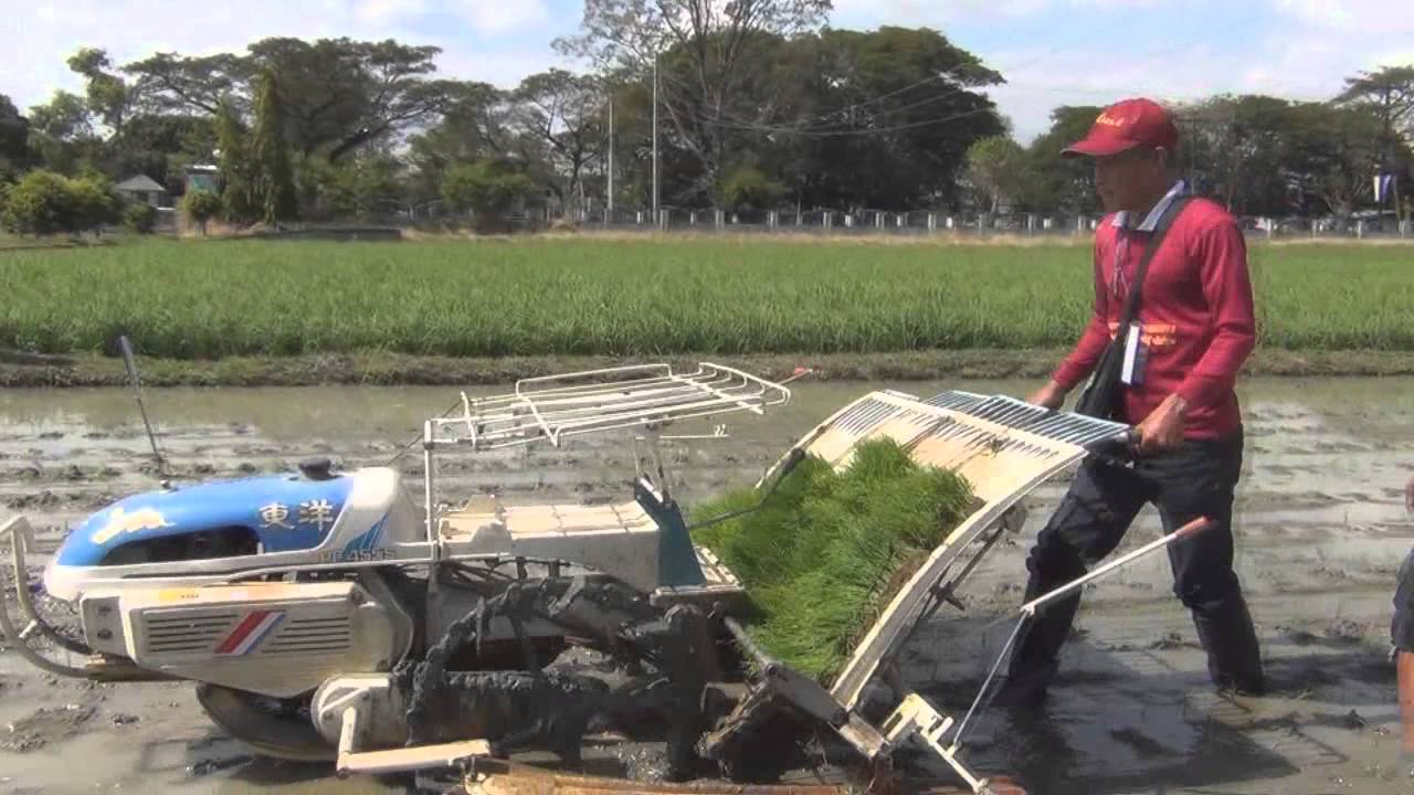 Penanaman Padi Menggunakan Sistem Dapog dan Alat Tanam Rice Transplanter