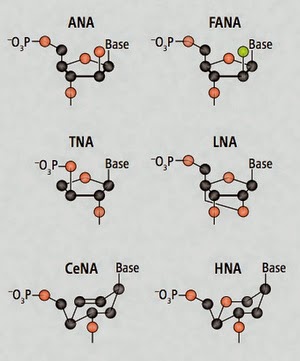 Zotya blogja: XNS ‒ szintetikus nukleinsavak