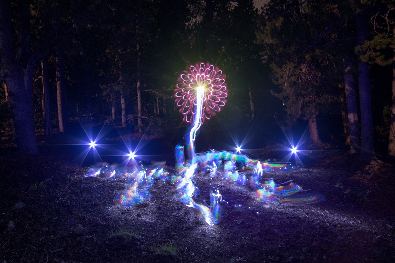 Light Painting Flower Tutorial - Photography Blog Tips - ISO 1200 Magazine