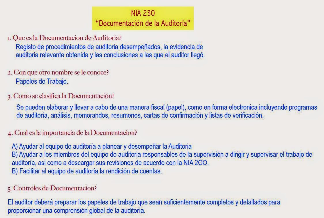 Fundamentos de auditoria: CUESTIONARIO NIA 230