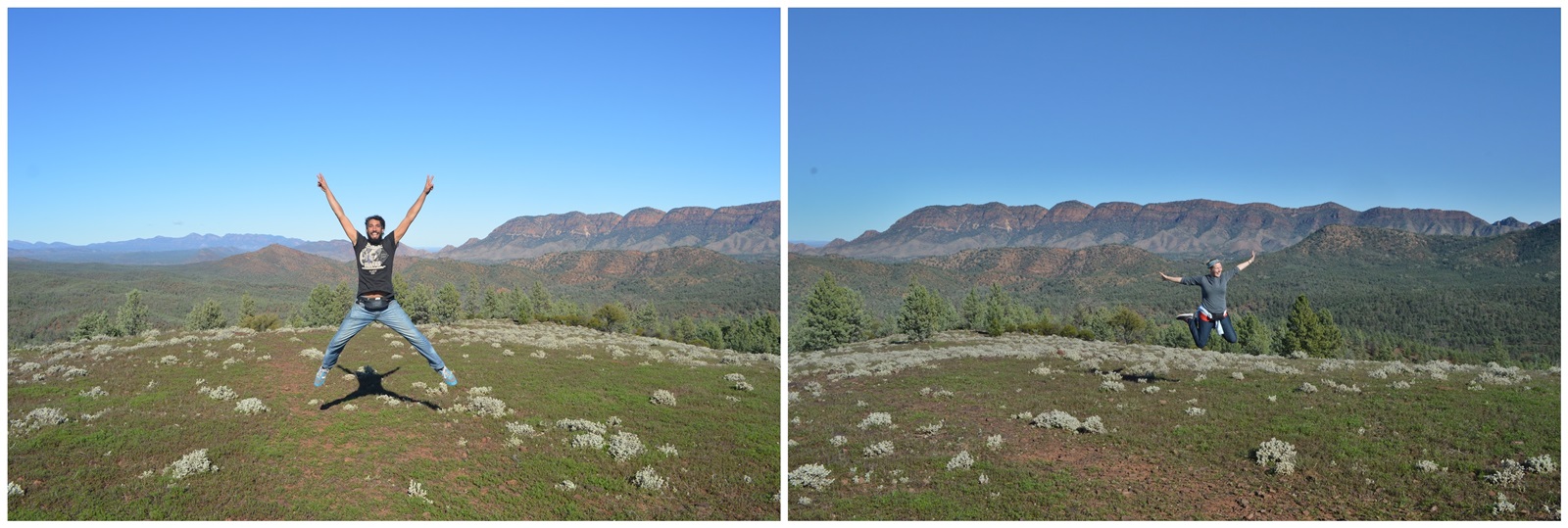 FURGONETA AZUL: FLINDERS NATIONAL PARK, AROONA VALLEY Y RED HILL LOOKOUT