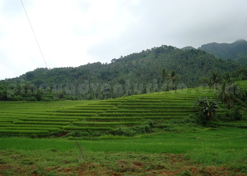 Biliran - Iyusan Rice Terraces and Mainit Hot Spring | Blogs, Travel ...