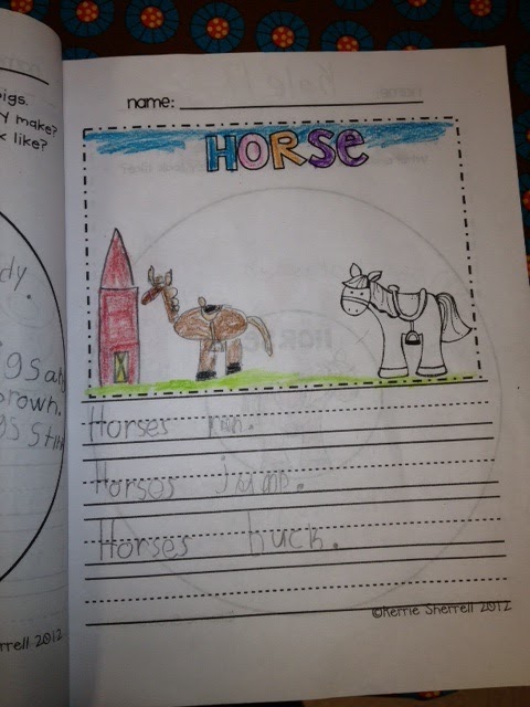 Look Whoo's in First