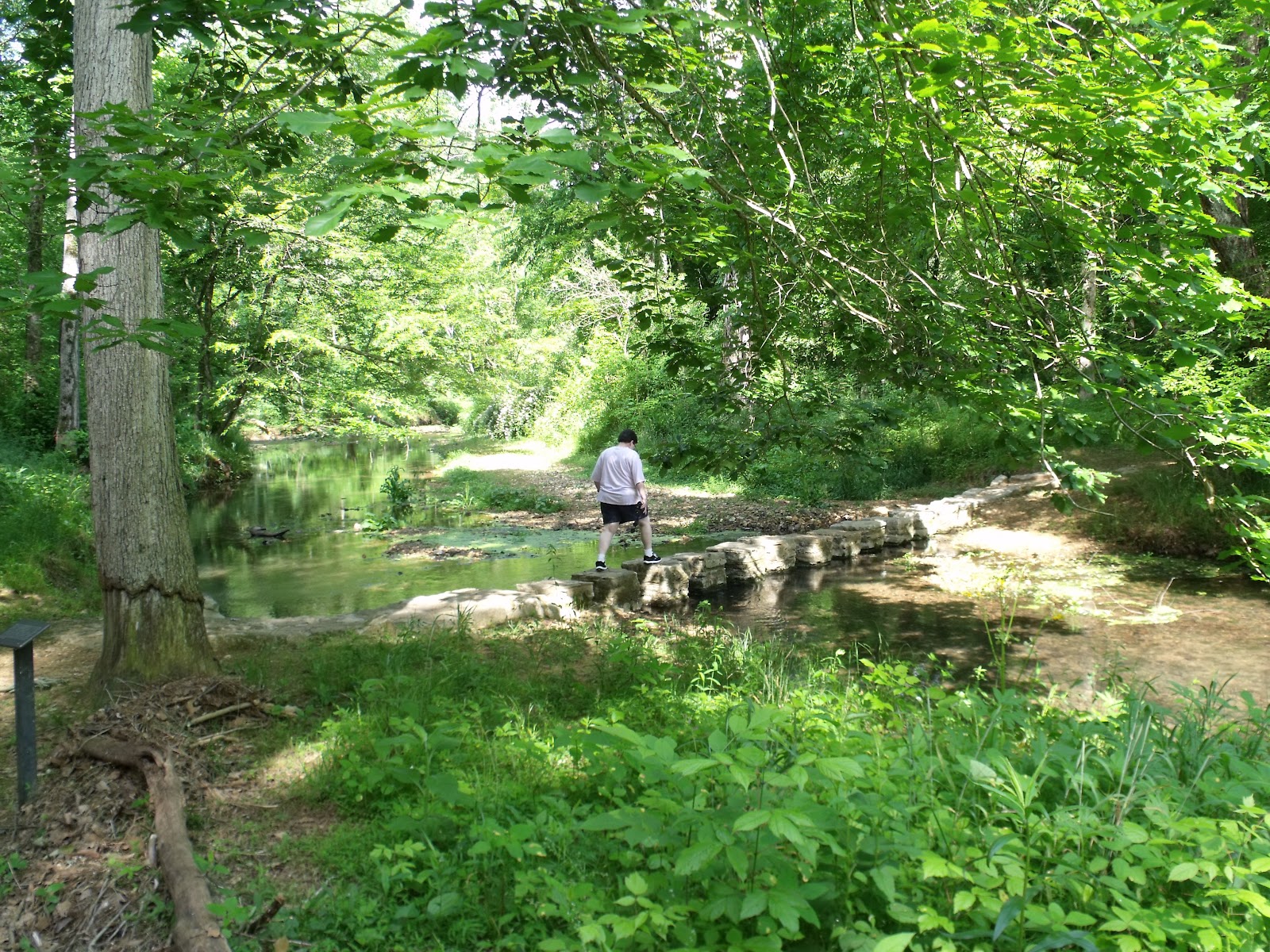 posted by Unknown @ 5:52 AM 0 comments