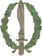 Bravo Delta Zero: G.O.E (Grupo de Operaciones Especiales)