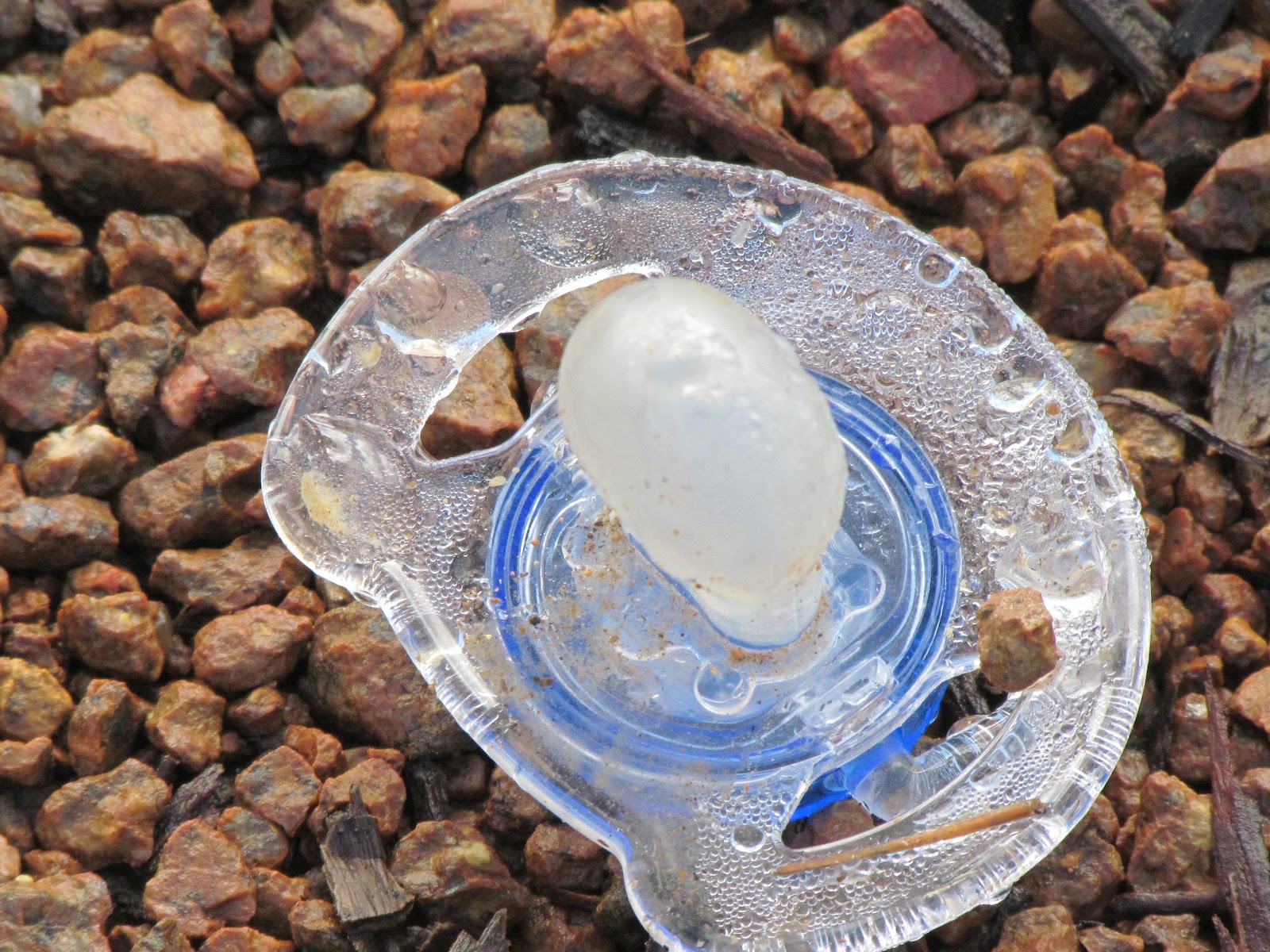 Dummy spits and brain snaps: controlling them through mental training