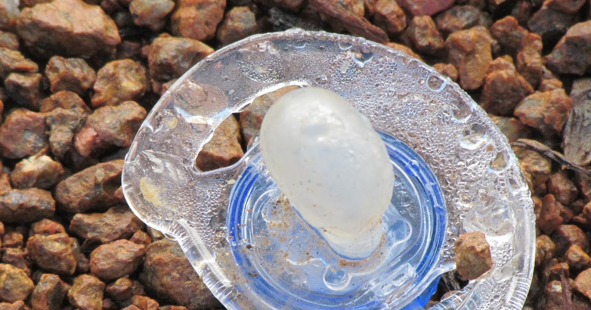 Dummy spits and brain snaps: controlling them through mental training