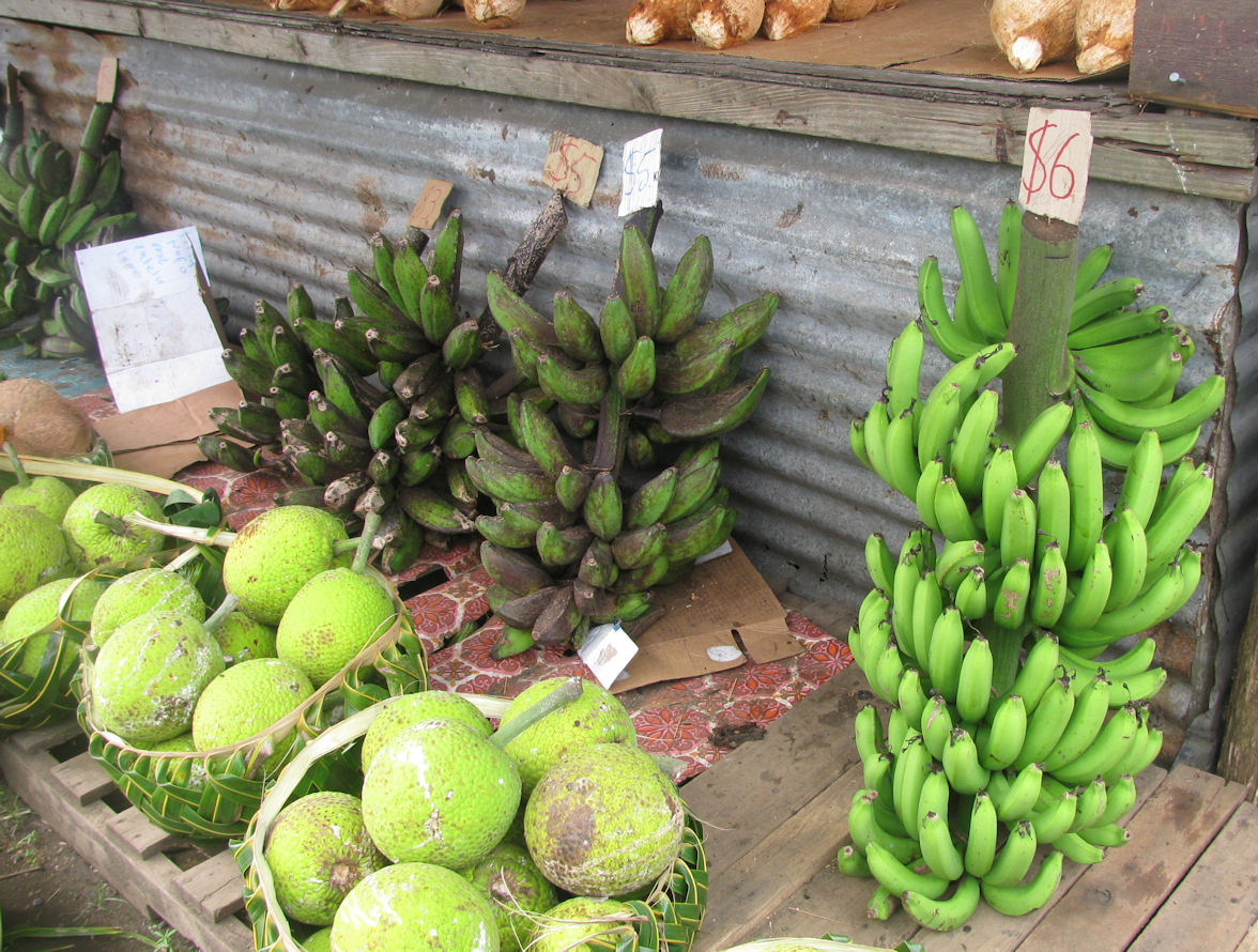 Joel's American Samoa Blog: Picture Day