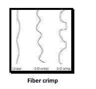 What is Fiber Morphology
