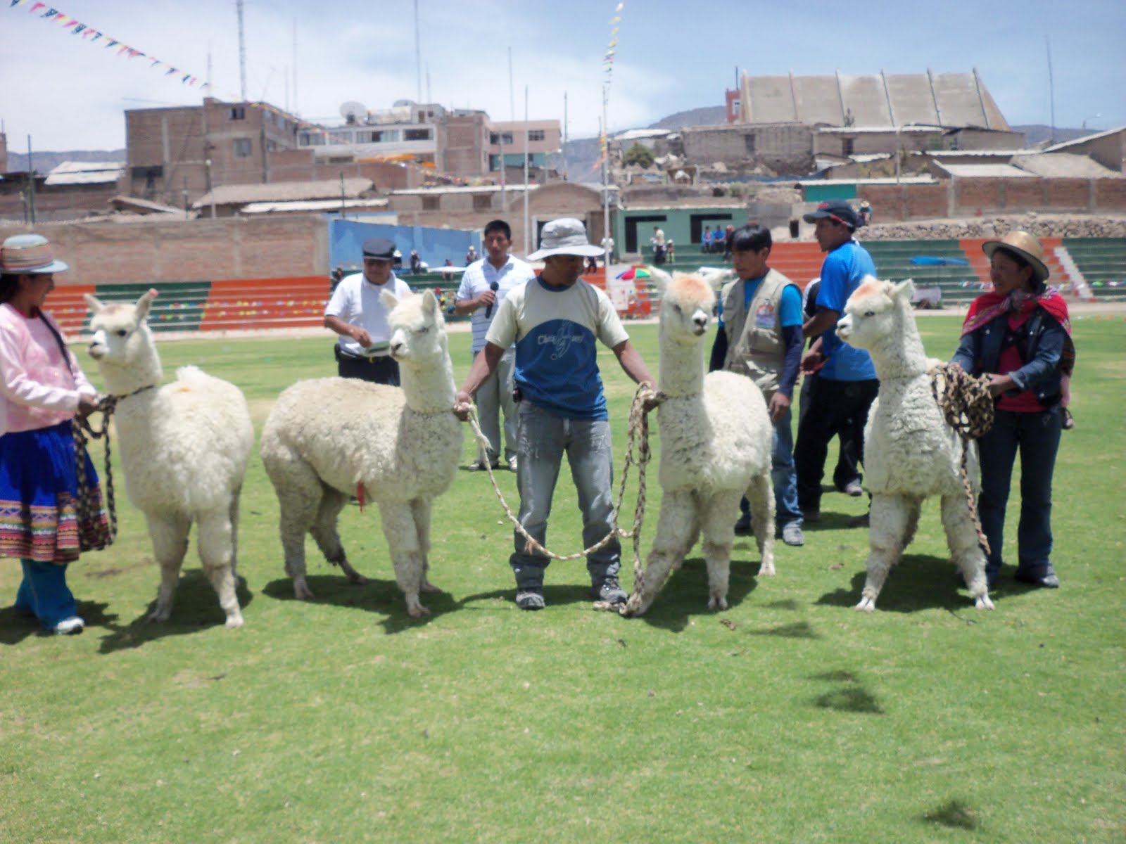 PLATOS TÍPICOS DE CHUQUIBAMBA