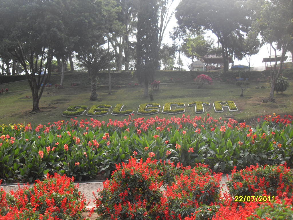 selecta malang jawa timur 2012 ~ five posting