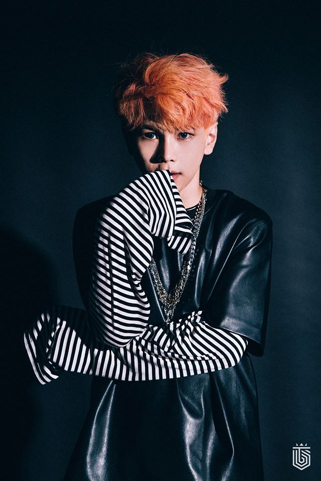 Profil, Biodata, Fakta Topp Dogg - Omah Kpop