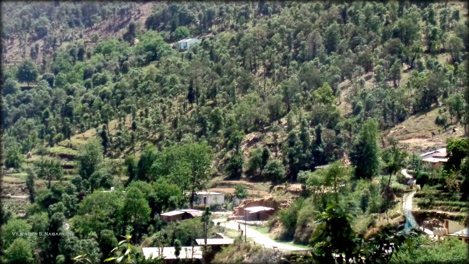 Uttarakhand Tourism: Dwarahat Dunagiri & Pandavkholi Photos