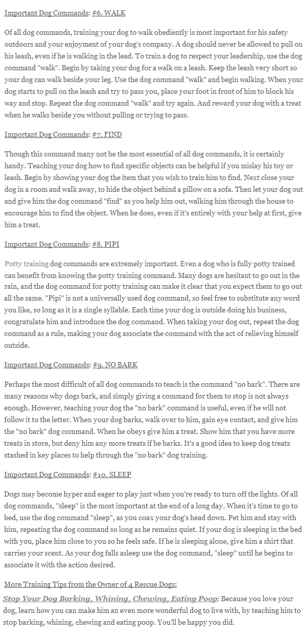 10 Dog Commands Important for Every Dog Breed