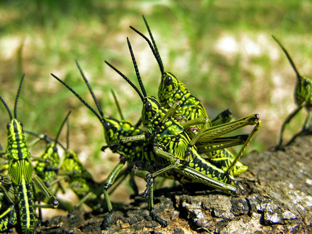 Thinking Through the Bible: December 2011