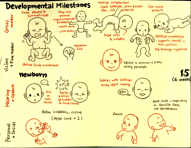 Paediatrics Developmental Milestones made picturesquely easy! | notes ...