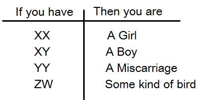 Red Ochre's TG Blog: Technical Mistakes Almost Every TG Author Makes ...