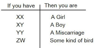 Red Ochre's TG Blog: Technical Mistakes Almost Every TG Author Makes ...